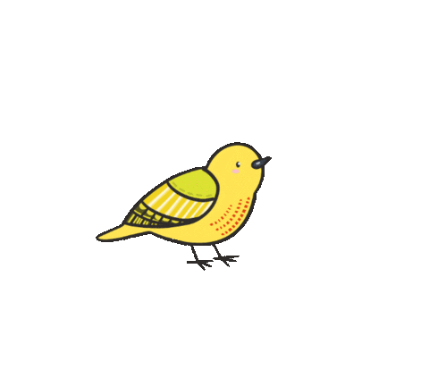 Bird Sticker by BirdNerdsCanada for iOS & Android | GIPHY