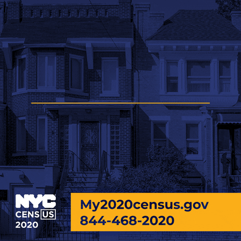 NYC Census 2020 GIFs - Find & Share on GIPHY