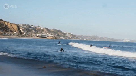 Climate Change Swimming GIF by PBS Digital Studios - Find & Share on GIPHY