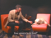 Snooze-you-lose GIFs - Get the best GIF on GIPHY