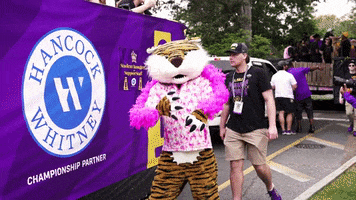 LSU Women's Basketball GIFs on GIPHY - Be Animated