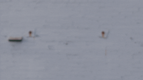 Balloon Popping GIFs - Get the best GIF on GIPHY