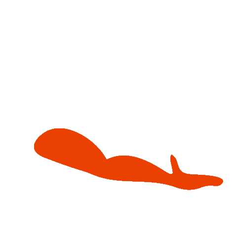 TEAM HAGER GIFs on GIPHY - Be Animated