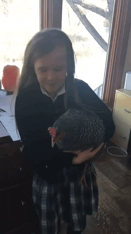 Holding Little Child GIFs - Get the best GIF on GIPHY