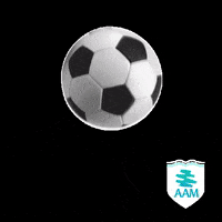 Soccer Ball Animated Gifs