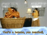 Bert Gif