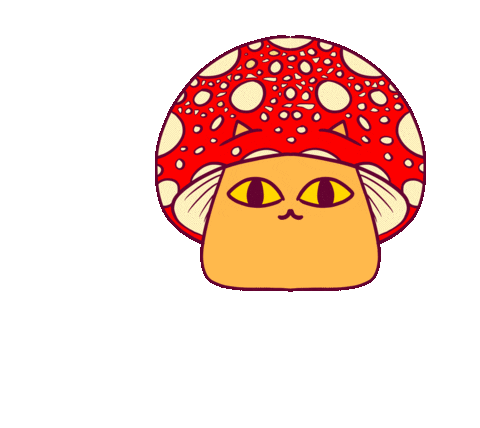 Mush Mush Cat GIFs on GIPHY - Be Animated