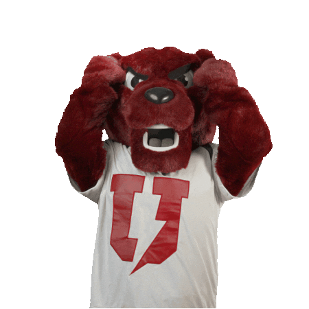 Union College GIFs on GIPHY - Be Animated