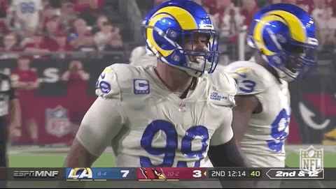 Los Angeles Rams Football GIF by NFL - Find & Share on GIPHY