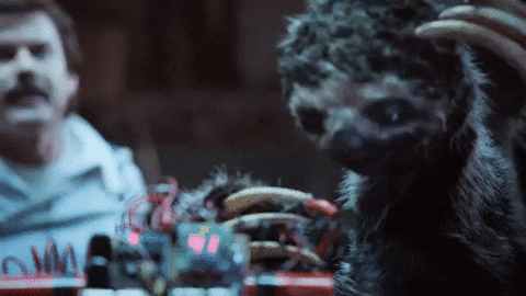 Defusing GIFs - Get the best GIF on GIPHY