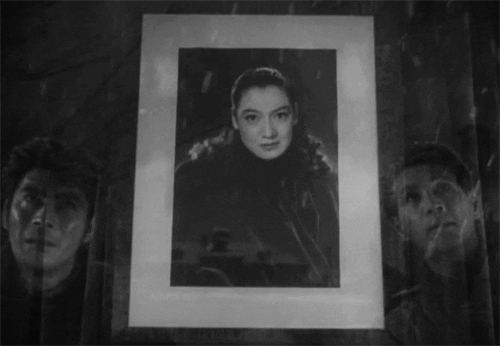 Hakuchi GIFs - Get the best GIF on GIPHY