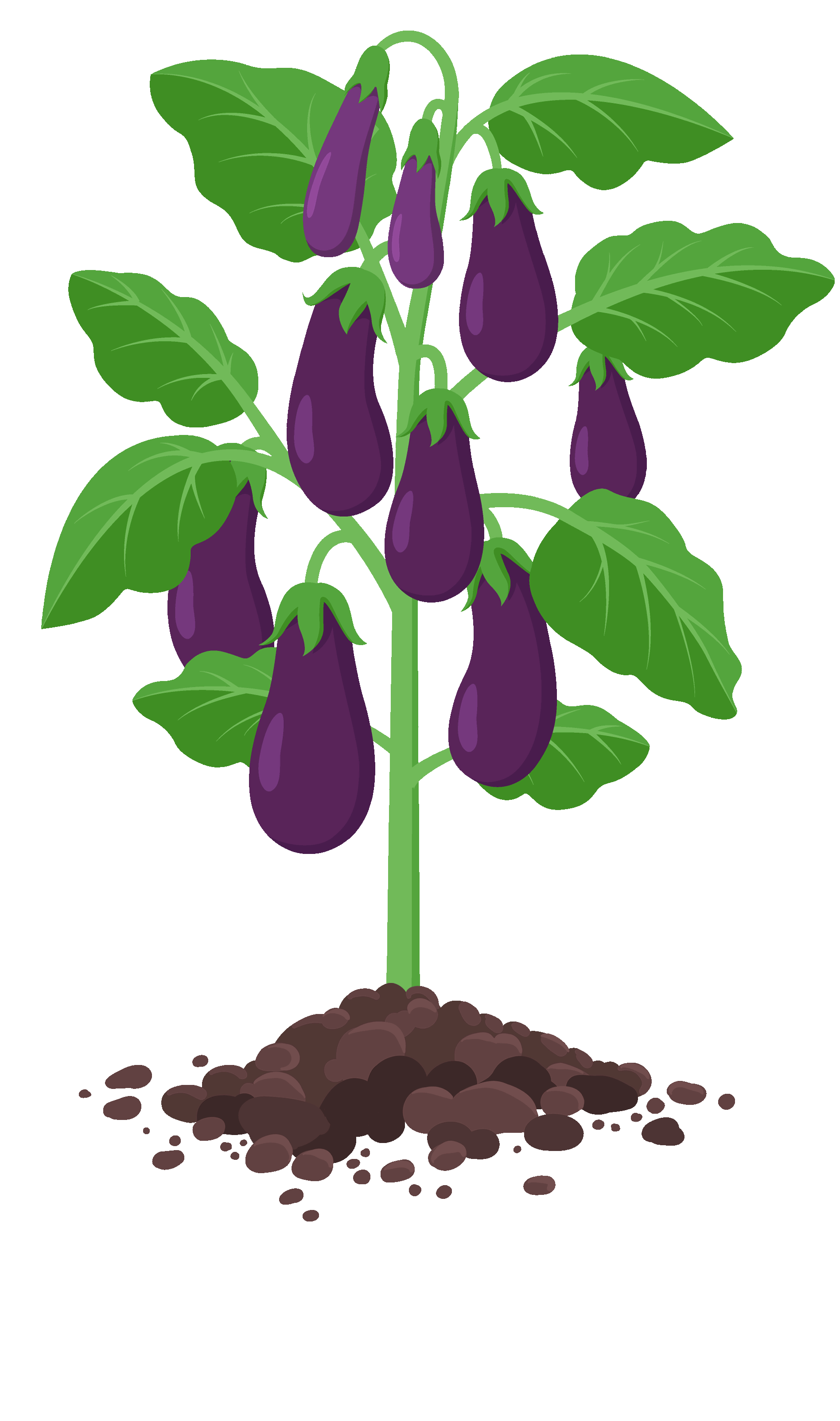 Garden Growing Sticker by Mini-Farm Grow Kits for iOS & Android | GIPHY