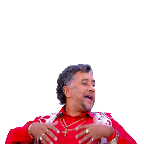 Stickers by SBT - Sistema Brasileiro de Televisão | GIPHY