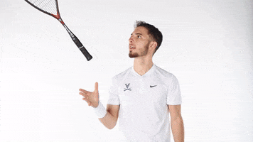 Squash GIFs on GIPHY - Be Animated