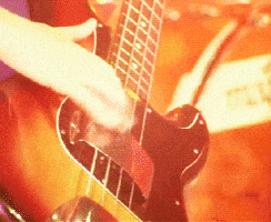 The Bass Player GIFs - Find & Share on GIPHY