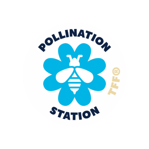 TFF Stickers GIFs on GIPHY - Be Animated