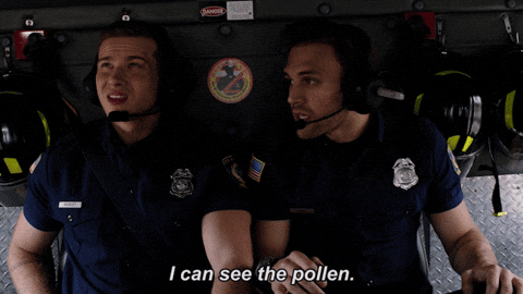 The Pollen GIFs - Get the best GIF on GIPHY