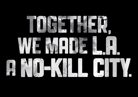 No-kill GIFs - Get the best GIF on GIPHY