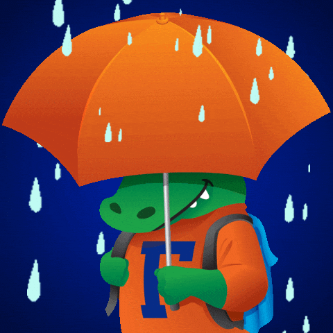 Uf-umbrella GIFs - Get the best GIF on GIPHY