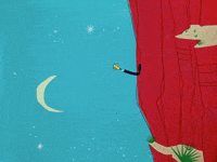 Wile E Coyote Falling Anvil Gif