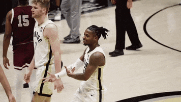 Purdue Sports GIFs on GIPHY - Be Animated