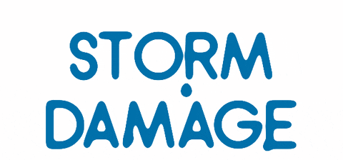 Storm-damage GIFs - Get the best GIF on GIPHY