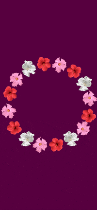 Flower Growing Gif