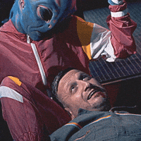 How-dumb GIFs - Get the best GIF on GIPHY