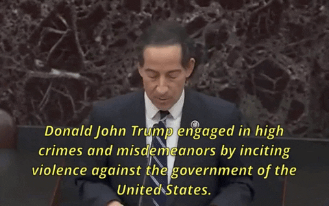Impeachment 2021 GIFs on GIPHY - Be Animated