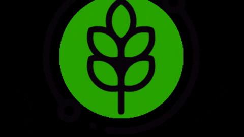 Vida es Primero GIFs - Find & Share on GIPHY