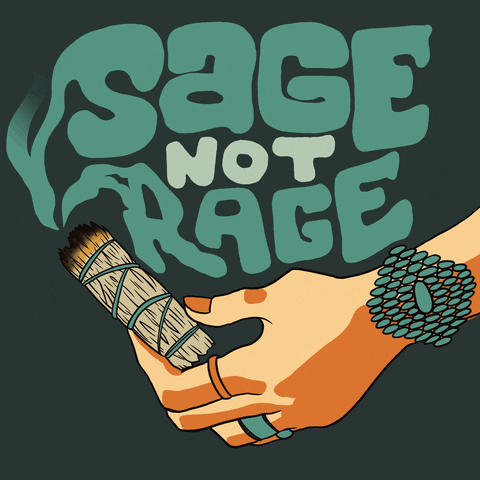 Sage Not Rage GIFs - Get the best GIF on GIPHY