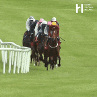 Horse Racing Animated Gif