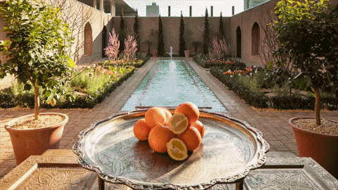 - Find & Share on GIPHY