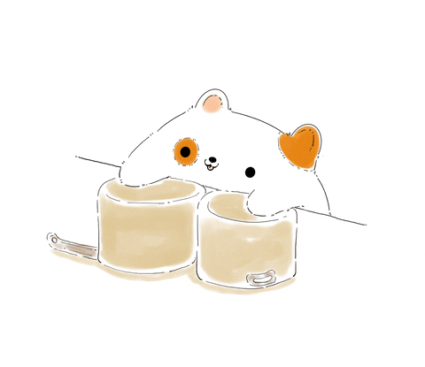 Bongo Dog GIFs - Get the best GIF on GIPHY