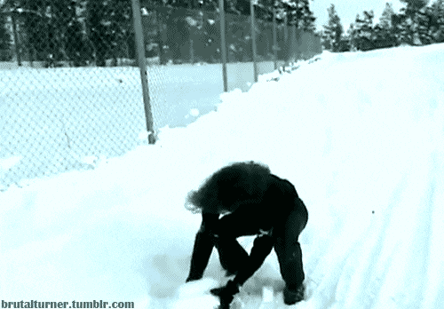 Black Metal Funny Gif