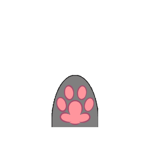 Gif De Gato Saludando Con La Mano Gato GIFs | Tenor
