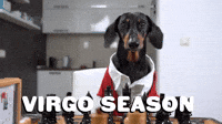 Virago GIFs - Get the best GIF on GIPHY