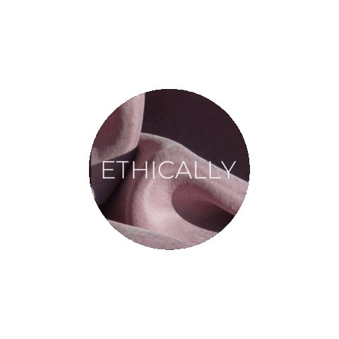 niLuu Silk Sense GIFs on GIPHY - Be Animated