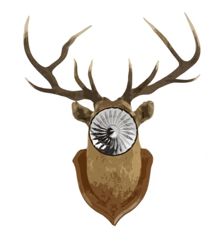 Deer Horns GIFs - Get the best GIF on GIPHY