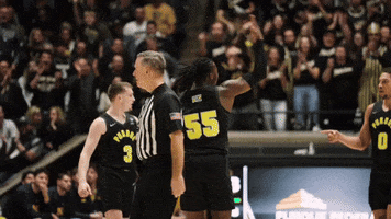 Purdue Sports GIFs on GIPHY - Be Animated