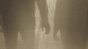 Solid GIFs on GIPHY - Be Animated