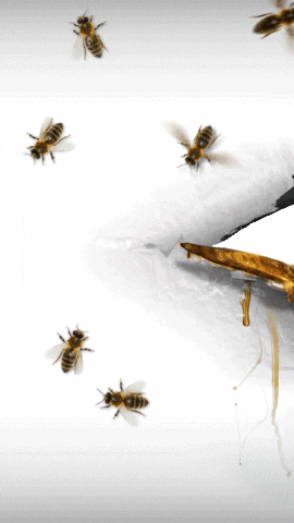 Candyman GIFs on GIPHY - Be Animated