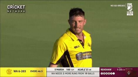 cricketcomau GIF - Find & Share on GIPHY