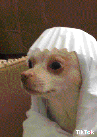 Fatica GIFs - Get the best GIF on GIPHY