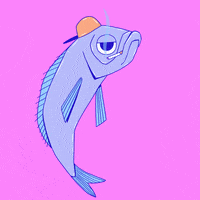 Cute Puffer Fish Gif