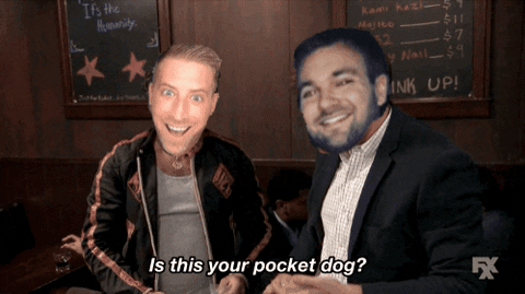 Pocket Dogs Rafi