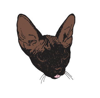 Cat Blinking Sticker by Cavetown for iOS & Android | GIPHY