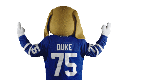 Duke Stickers by Toronto Marlies | GIPHY