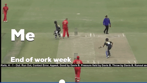 Cricket Runout GIFs - Get the best GIF on GIPHY