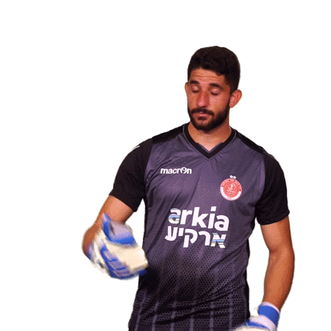 Hta Yallahapoel Sticker by Hapoel TelAviv FC for iOS & Android | GIPHY